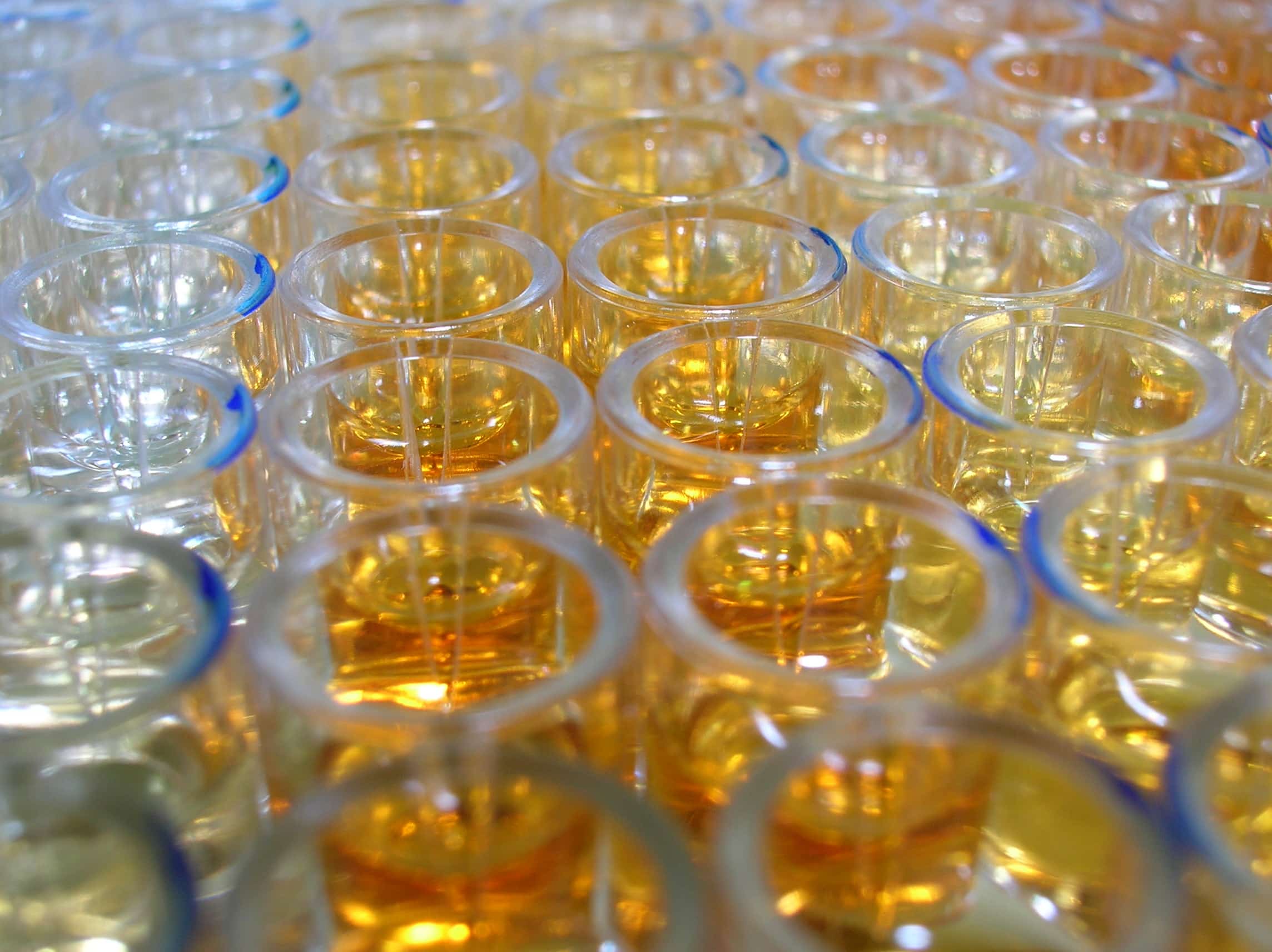 GLYcoDiag Light on : GLYcoPROFILE® platform and applied microbiology specialties dedicated to ...