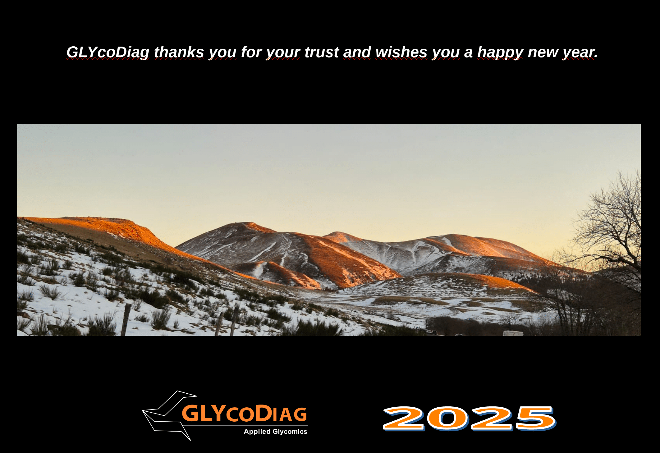 Happy New Year 2025 from GLYcoDiag Team