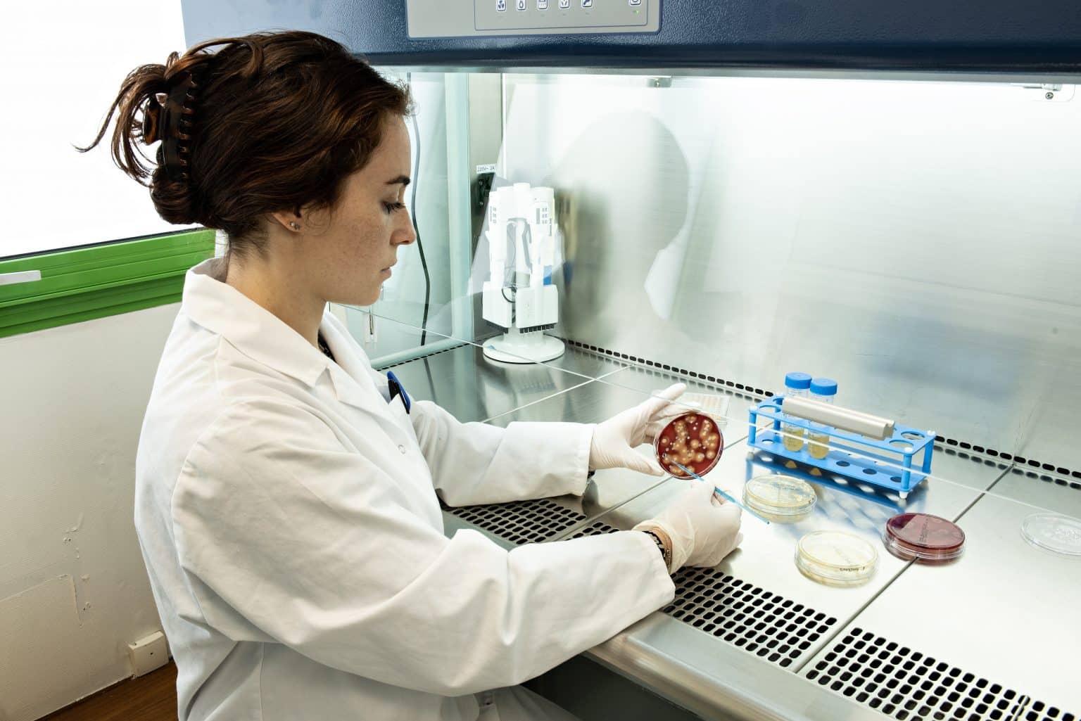 An Innovative Model Based on Wild Type Bacteria Co-Culture to Identify Cosmetic Ingredients