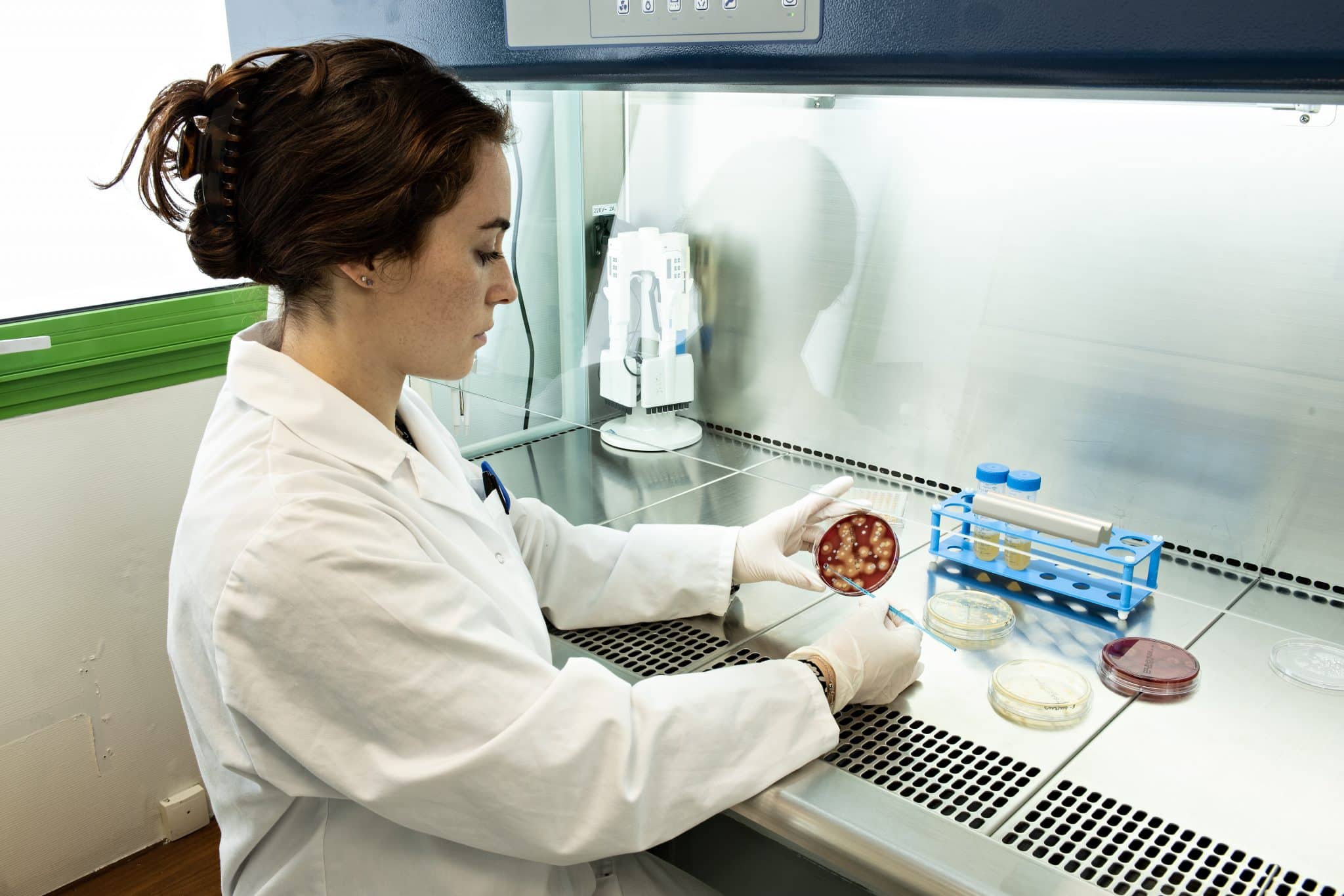 An Innovative Model Based on Wild Type Bacteria Co-Culture to Identify ...