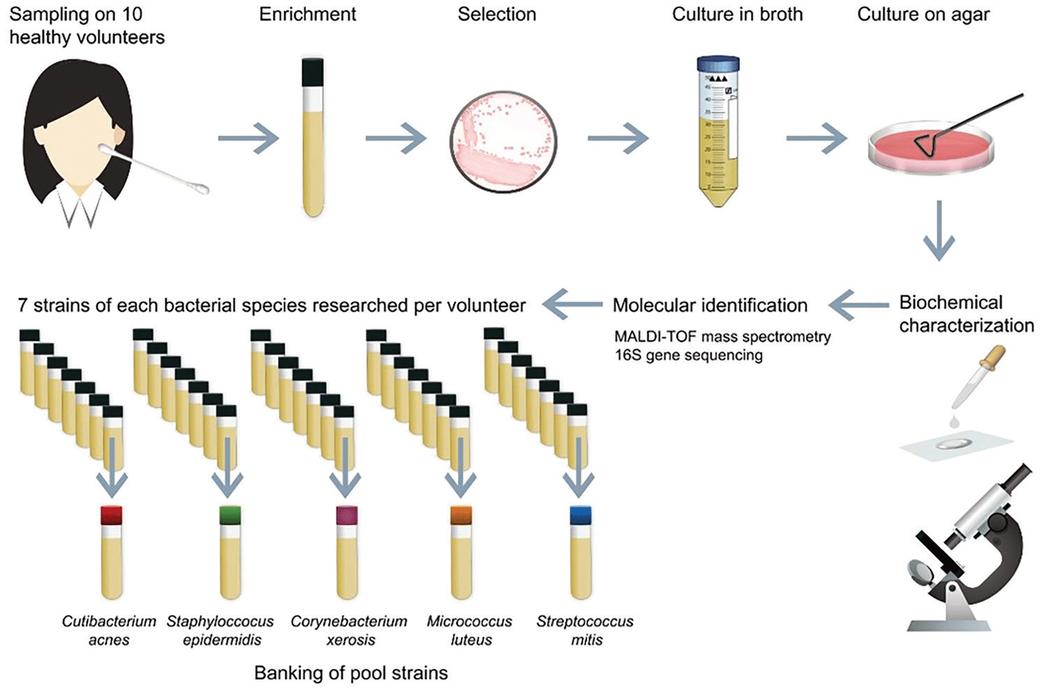 Join us at Cosm'ing 2025 in Saint-Malo, from 11th to 17th